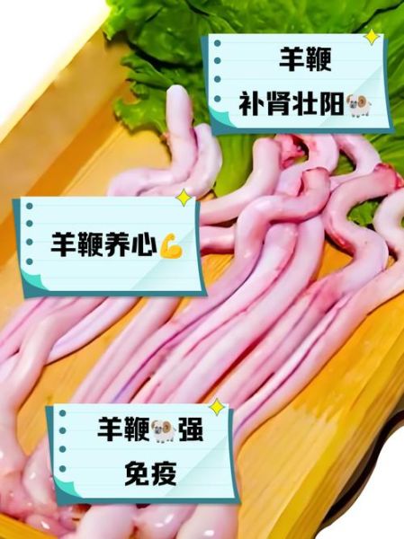 羊鞭的功效与作用_羊鞭怎么吃最补肾-第1张图片-山城妙识 羊鞭的功效与作用_羊鞭怎么吃最补肾-第1张图片-山城妙识