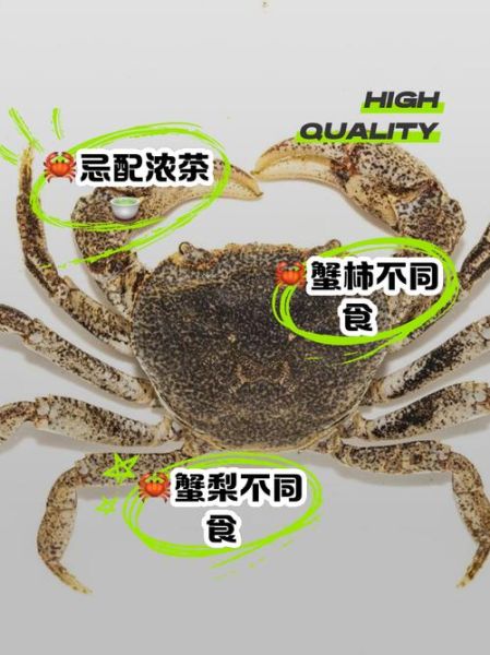 海蟹不能和哪些食物同吃_吃了会怎样-第3张图片-山城妙识