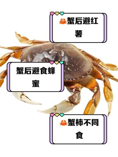 海蟹不能和哪些食物同吃_吃了会怎样-第2张图片-山城妙识