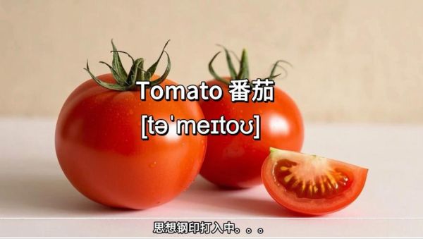 how_to_make_tomato_egg_stir_fry_tomato_egg_recipe_easy-第2张图片-山城妙识