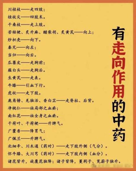 中医方剂大全_常用中药方有哪些-第1张图片-山城妙识 中医方剂大全_常用中药方有哪些-第1张图片-山城妙识