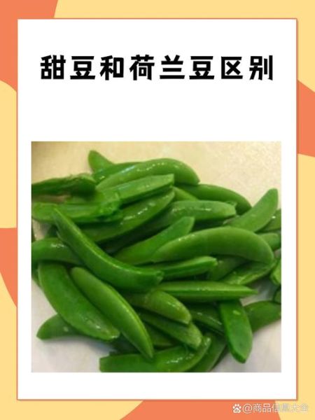 荷兰豆和豌豆一样吗_区别与营养价值-第2张图片-山城妙识 荷兰豆和豌豆一样吗_区别与营养价值-第2张图片-山城妙识