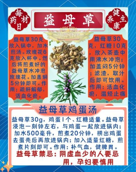 益母草怎么吃最好_益母草食用禁忌有哪些-第2张图片-山城妙识