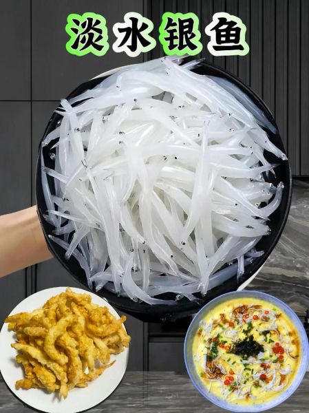 新鲜银鱼多少钱一斤_银鱼价格行情-第2张图片-山城妙识