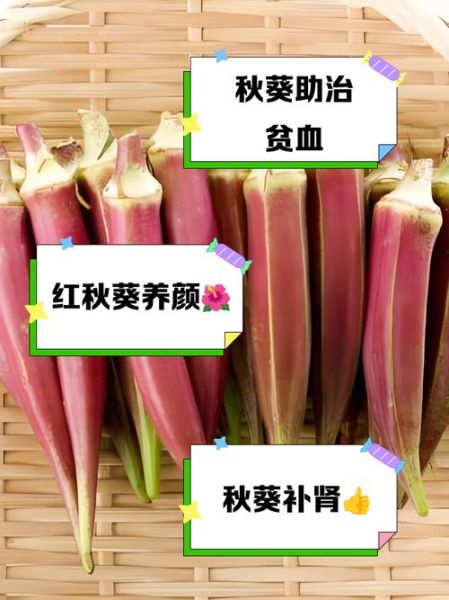 红秋葵的功效与作用_红秋葵怎么吃最营养-第1张图片-山城妙识