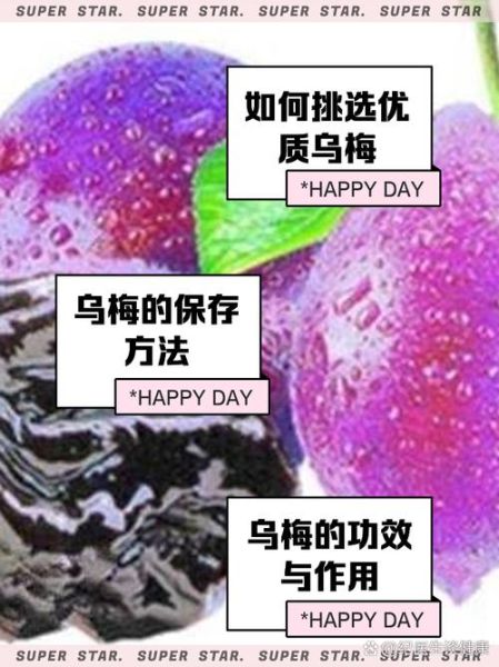 乌梅多少钱一斤_乌梅价格行情-第1张图片-山城妙识