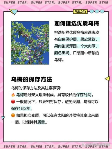 乌梅多少钱一斤_乌梅价格行情-第2张图片-山城妙识