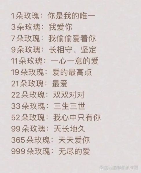 玫瑰花的花语是什么_不同朵数玫瑰代表什么-第2张图片-山城妙识