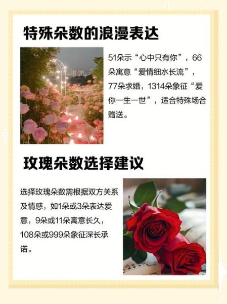 玫瑰花的花语是什么_不同朵数玫瑰代表什么-第3张图片-山城妙识