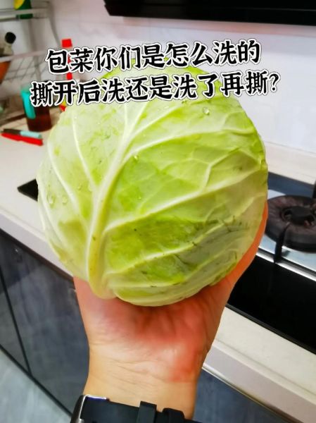卷心菜怎么洗_卷心菜怎么洗才干净-第1张图片-山城妙识