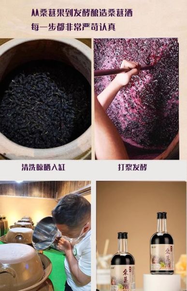 泡桑葚酒用多少度酒好_桑葚酒最佳酒精度是多少-第1张图片-山城妙识