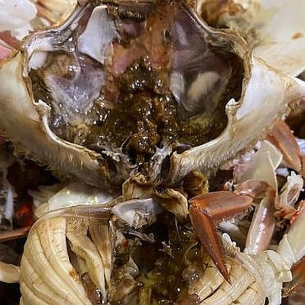 蟹黄是稀的是不是没熟_蟹黄稀了还能吃吗-第1张图片-山城妙识