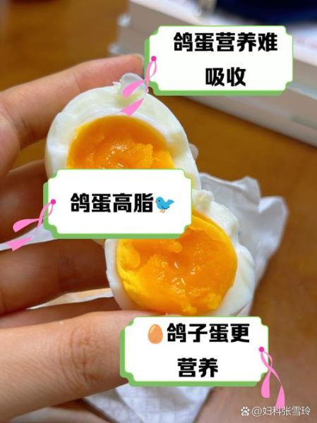 鸽子蛋不能和什么一起吃_鸽子蛋和什么搭配最营养-第3张图片-山城妙识 鸽子蛋不能和什么一起吃_鸽子蛋和什么搭配最营养-第3张图片-山城妙识