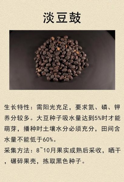 淡豆豉葱白功效与作用_淡豆豉葱白能退烧吗-第3张图片-山城妙识 淡豆豉葱白功效与作用_淡豆豉葱白能退烧吗-第3张图片-山城妙识