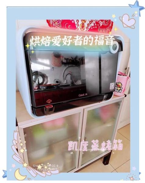 蒸烤箱哪个牌子好_专业蒸烤箱品牌排行榜-第2张图片-山城妙识