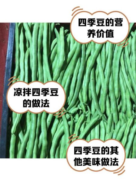 四季豆的功效与作用_四季豆的禁忌有哪些-第2张图片-山城妙识