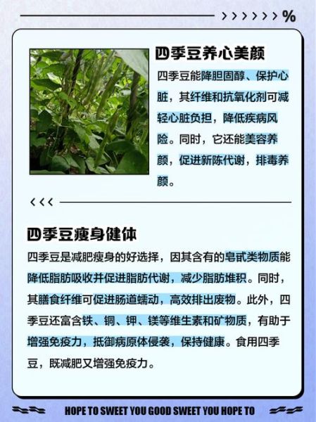 四季豆的功效与作用_四季豆的禁忌有哪些-第1张图片-山城妙识