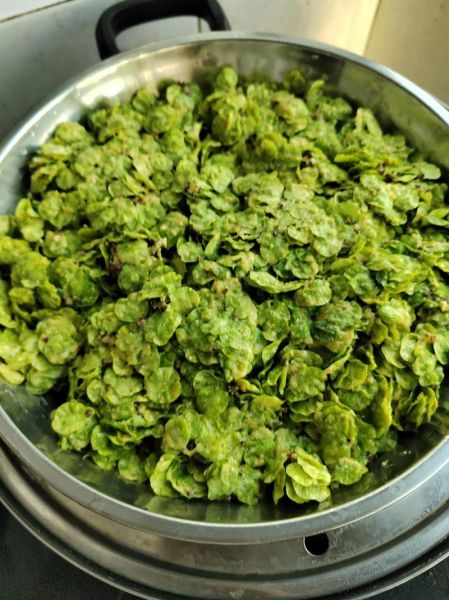 榆钱饭怎么做_榆钱饭香的做法窍门-第1张图片-山城妙识