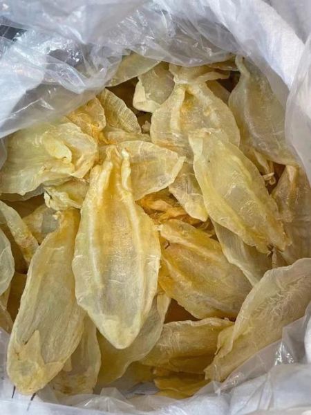 目鱼肚是什么东西_目鱼肚和鱿鱼肚区别-第1张图片-山城妙识