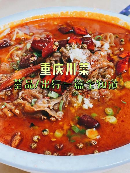 家常川菜600道名字有哪些_如何快速记住-第3张图片-山城妙识