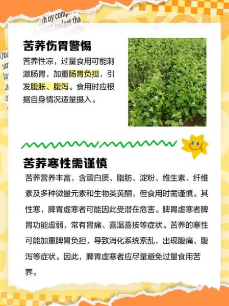 苦荞麦的功效与副作用_哪些人不能吃-第1张图片-山城妙识