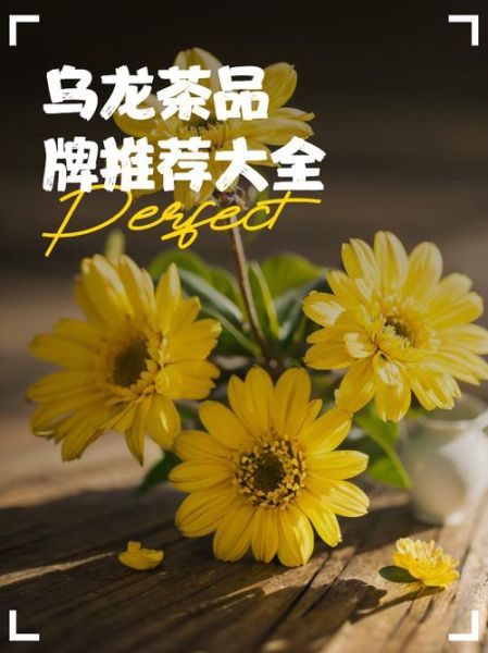 乌龙茶哪个牌子好喝_十大乌龙茶品牌排行榜-第1张图片-山城妙识