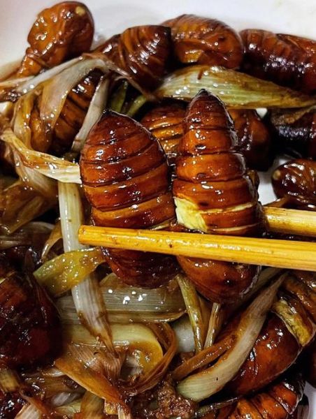 凉拌蚕蛹怎么做好吃_饭店凉拌蚕蛹的做法-第1张图片-山城妙识