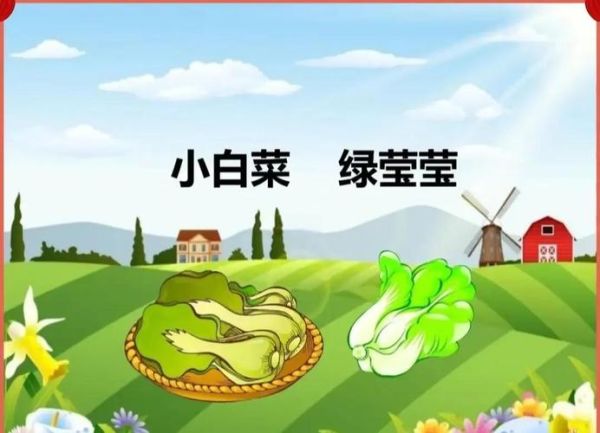 小白菜儿歌背后的故事_为什么小白菜这么感人-第3张图片-山城妙识