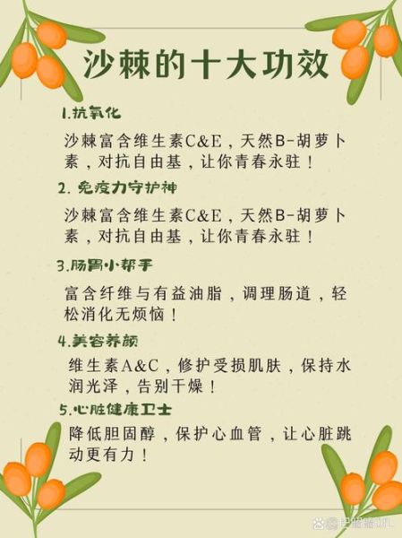 沙棘的功效与作用_沙棘怎么吃效果最好-第2张图片-山城妙识