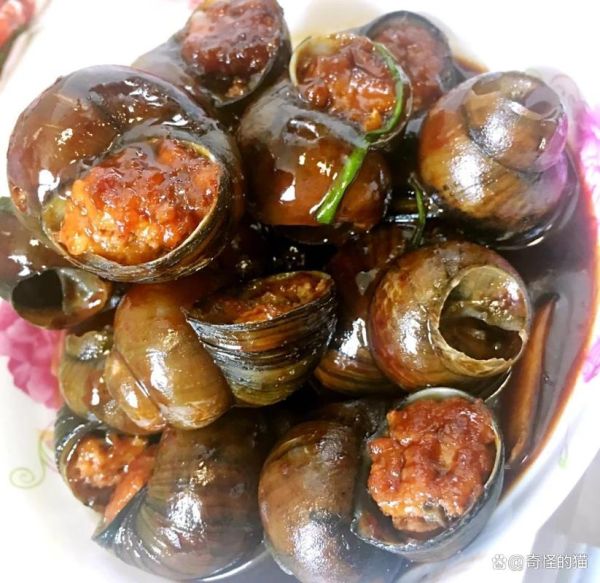 田螺吃什么食物_田螺怎么养才肥-第3张图片-山城妙识