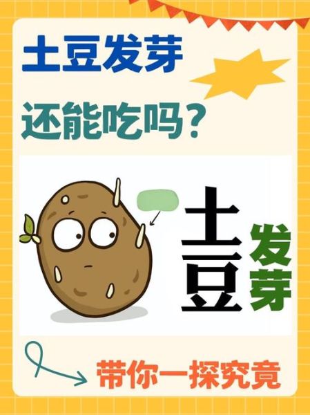 土豆的营养价值高吗_土豆怎么吃最健康-第3张图片-山城妙识