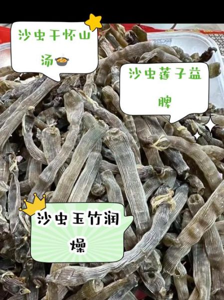 沙虫长什么样子_沙虫怎么做好吃-第2张图片-山城妙识 沙虫长什么样子_沙虫怎么做好吃-第2张图片-山城妙识