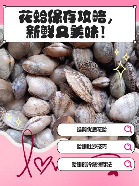 花蛤能冷冻保存吗_花蛤冷冻后口感会变差吗-第1张图片-山城妙识