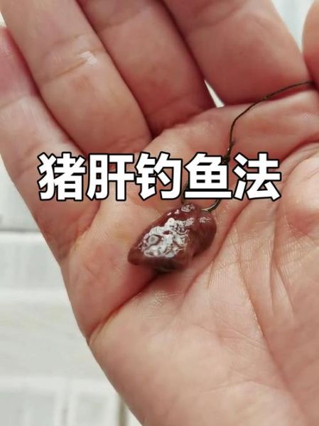 猪肝钓鲶鱼怎么挂钩_猪肝钓鲶鱼挂钩图解-第2张图片-山城妙识 猪肝钓鲶鱼怎么挂钩_猪肝钓鲶鱼挂钩图解-第2张图片-山城妙识