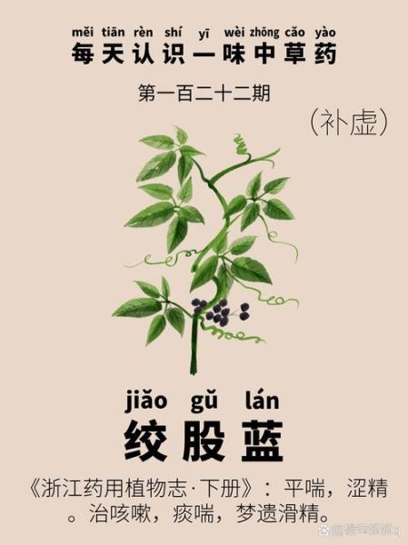 绞股蓝长什么样_如何辨认绞股蓝植物-第1张图片-山城妙识