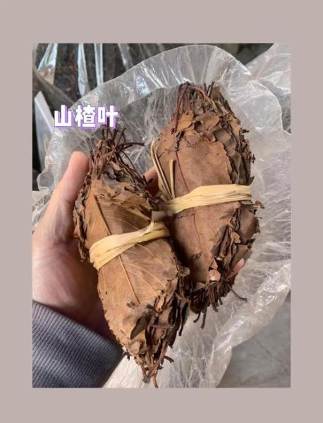 山楂叶煮水能降血压吗_山楂叶煮水功效与作用-第3张图片-山城妙识