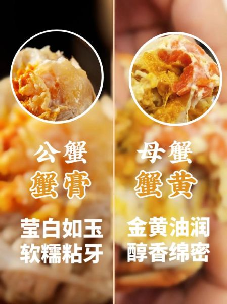 蟹膏和蟹黄的区别_蟹黄和蟹膏哪个更好吃-第1张图片-山城妙识