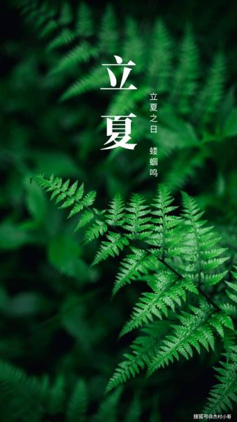 立夏图片唯美_立夏节气怎么拍才好看-第1张图片-山城妙识