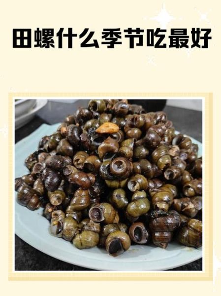 河里的田螺能吃吗_野生田螺食用安全-第1张图片-山城妙识