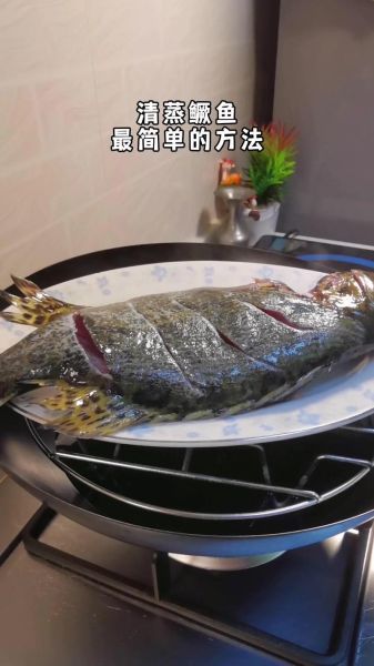 清蒸鲑鱼怎么做好吃_家常清蒸鲑鱼做法-第1张图片-山城妙识