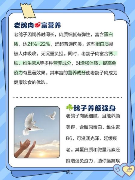 乳鸽和老鸽的功效区别_哪个更滋补-第1张图片-山城妙识 乳鸽和老鸽的功效区别_哪个更滋补-第1张图片-山城妙识