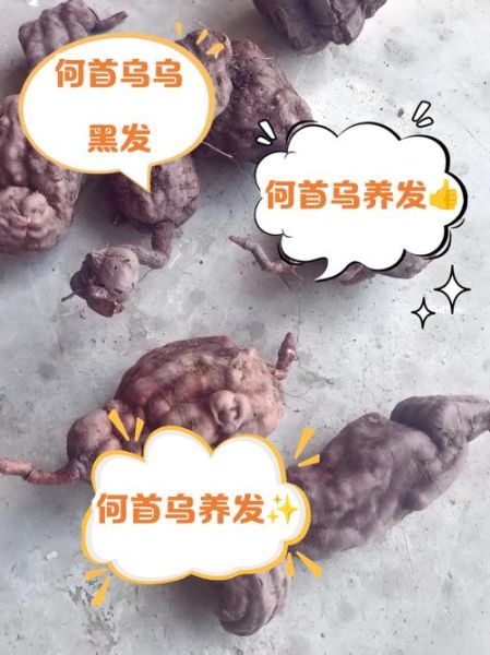 何首乌功效与作用有哪些_何首乌主治什么病-第3张图片-山城妙识