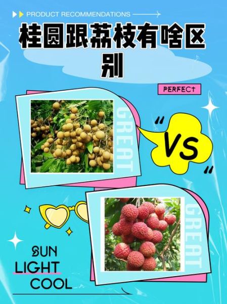 荔枝和龙眼哪个营养价值高_对比分析-第2张图片-山城妙识