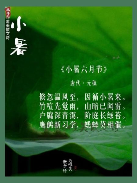 小暑古诗有哪些_小暑诗词如何赏析-第1张图片-山城妙识