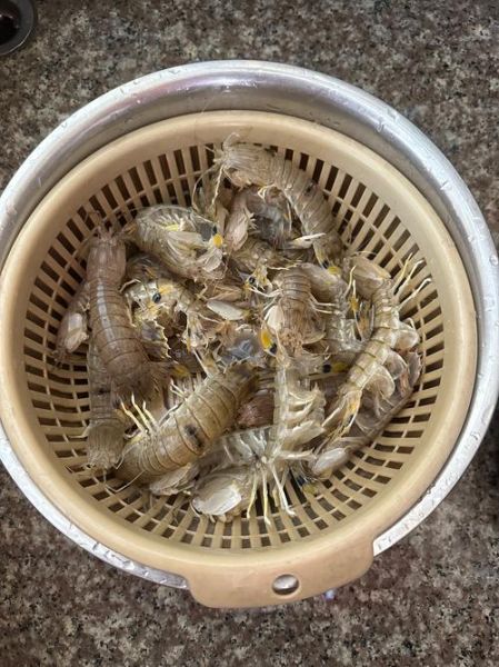 虾菇怎么做好吃_虾菇的营养价值有哪些-第1张图片-山城妙识