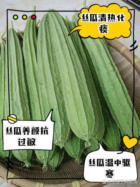 丝瓜的药用功效有哪些_丝瓜能治疗哪些疾病-第1张图片-山城妙识 丝瓜的药用功效有哪些_丝瓜能治疗哪些疾病-第1张图片-山城妙识