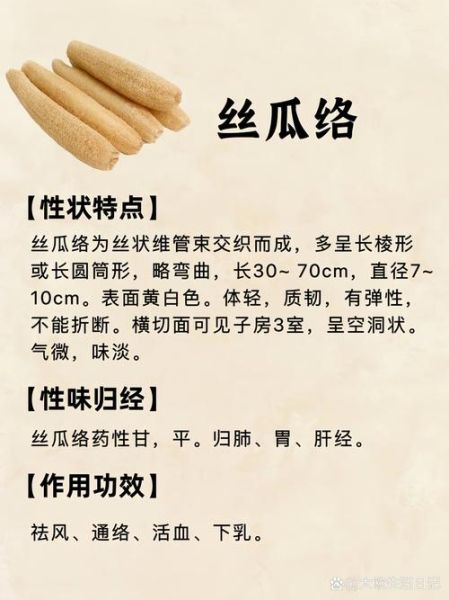 丝瓜的药用功效有哪些_丝瓜能治疗哪些疾病-第2张图片-山城妙识 丝瓜的药用功效有哪些_丝瓜能治疗哪些疾病-第2张图片-山城妙识