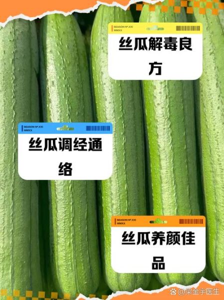 丝瓜的药用功效有哪些_丝瓜能治疗哪些疾病-第3张图片-山城妙识 丝瓜的药用功效有哪些_丝瓜能治疗哪些疾病-第3张图片-山城妙识