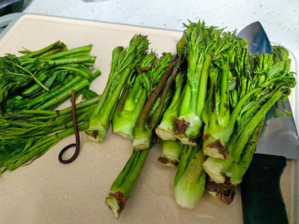 山野菜刺嫩芽怎么做好吃_刺嫩芽的做法大全-第1张图片-山城妙识