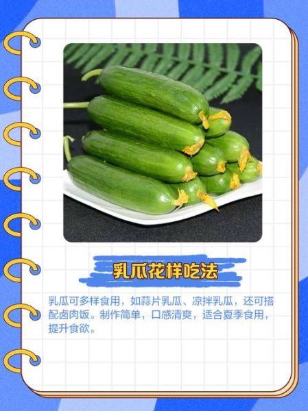 乳瓜是什么_乳瓜怎么吃最好-第3张图片-山城妙识